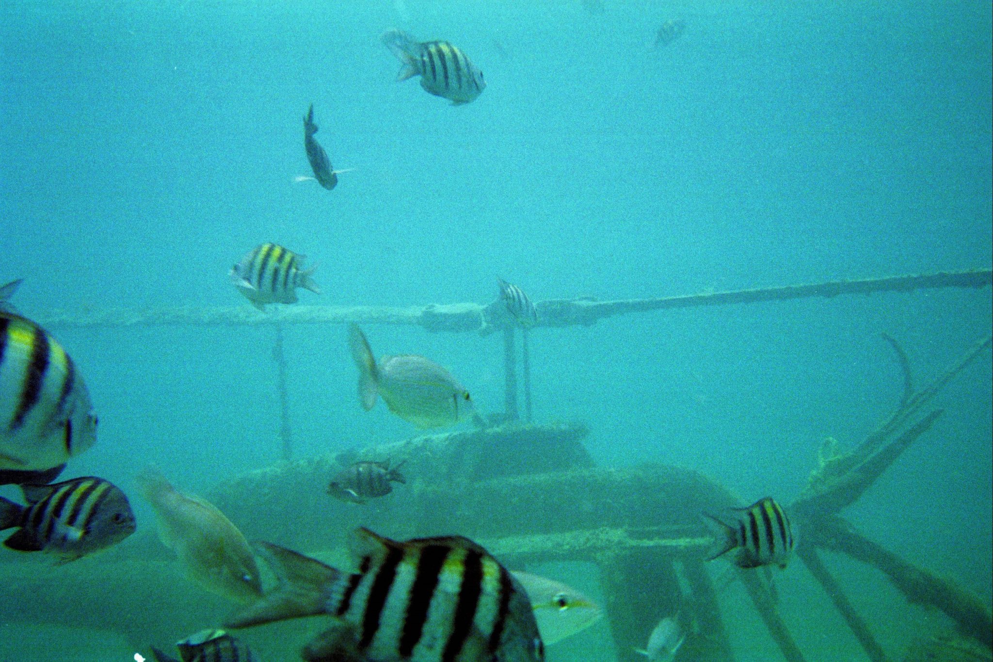 Helmet Diving: Walk Underwater Beneath The Waves! - On To New Adventures!