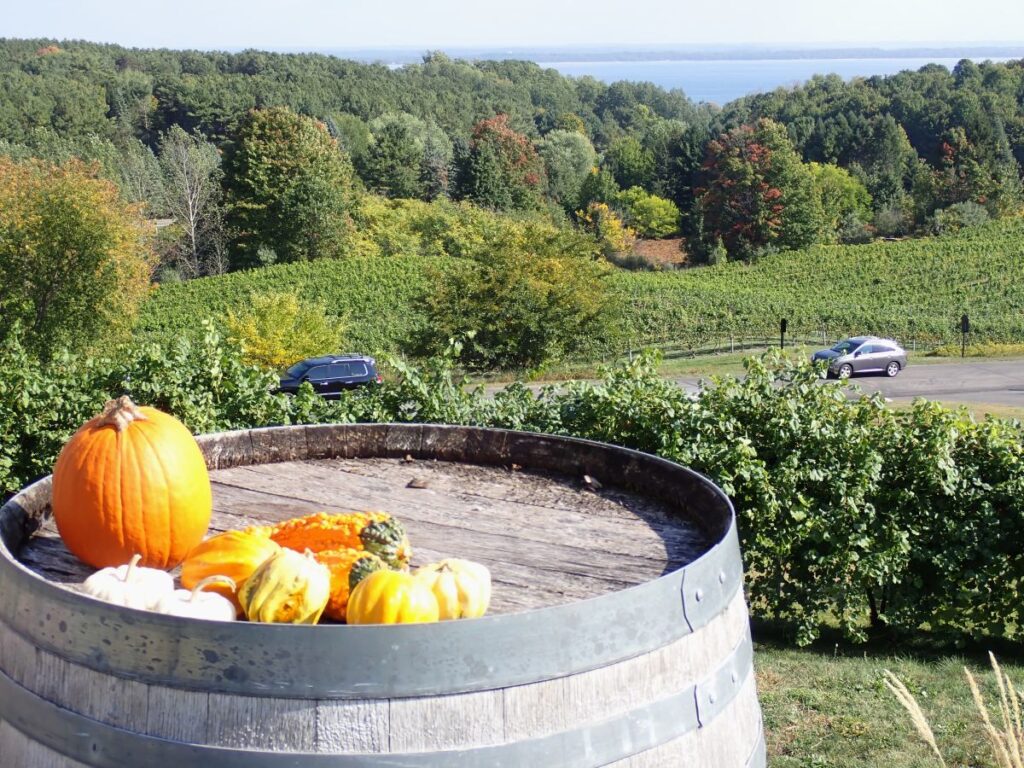 Best Things to Do in Traverse City in Fall: Ultimate Guide to Autumn ...