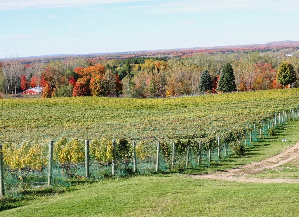 Best Things to Do in Traverse City in Fall: Ultimate Guide to Autumn ...